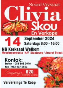 Northern Free State Clivia Club – The Clivia Society